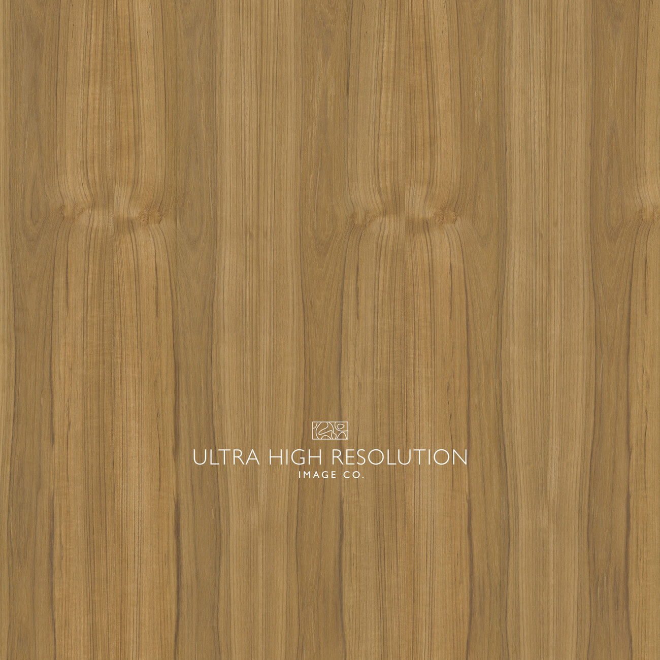 Natural Teak Wood Texture