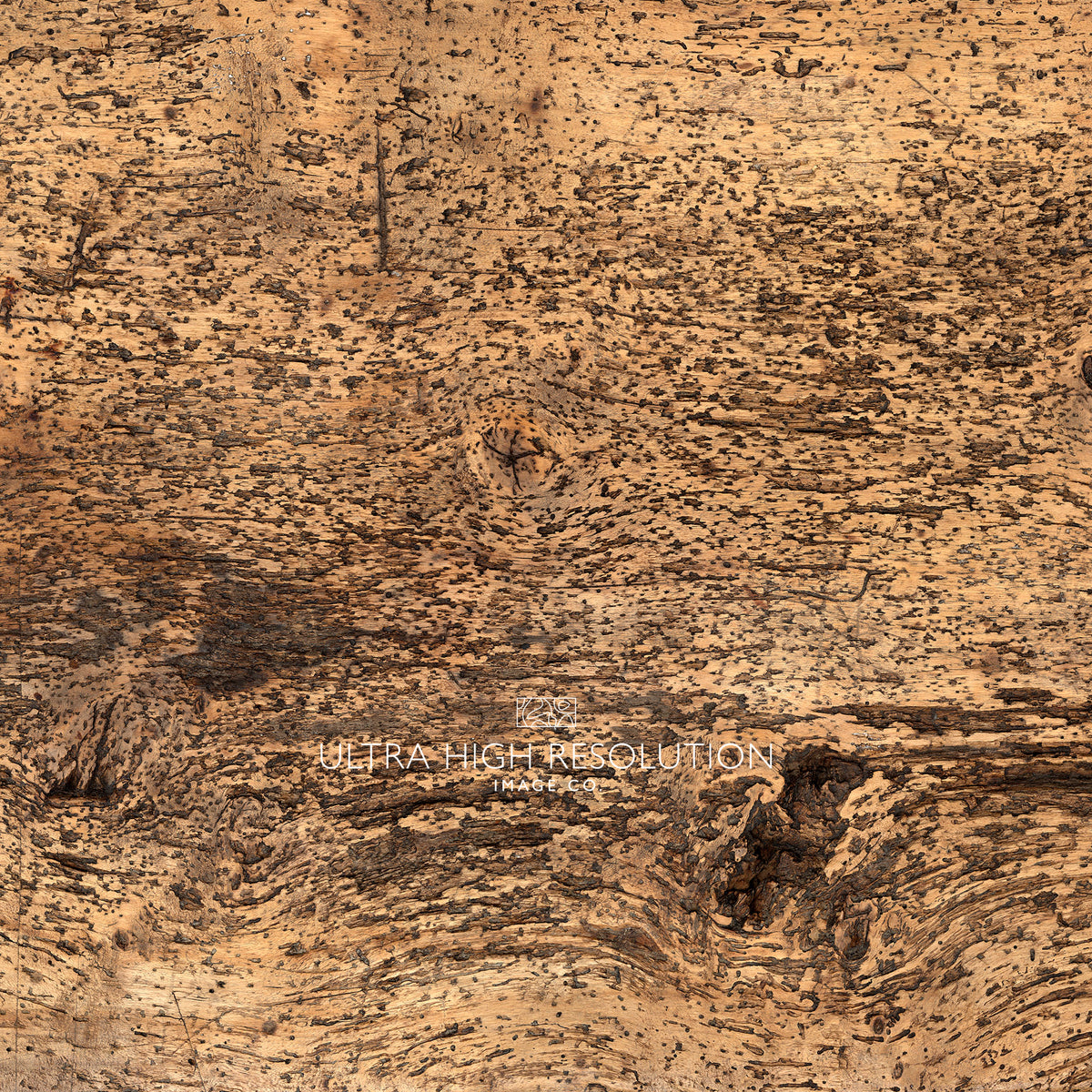 Old Pitted Wood Plank (653cm x 254cm) – Ultra High Resolution